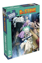 Dr Stone Puzzle (Released 01/01/25) – Pavilion Distribution